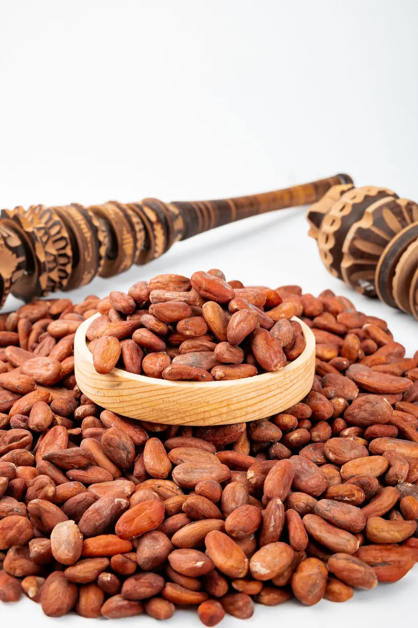 Cacao en grano lavado - La Broma de Teo